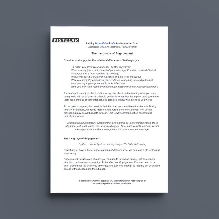 Ending Lateral Violence Book: Safer Workplace Culture | Vistelar
